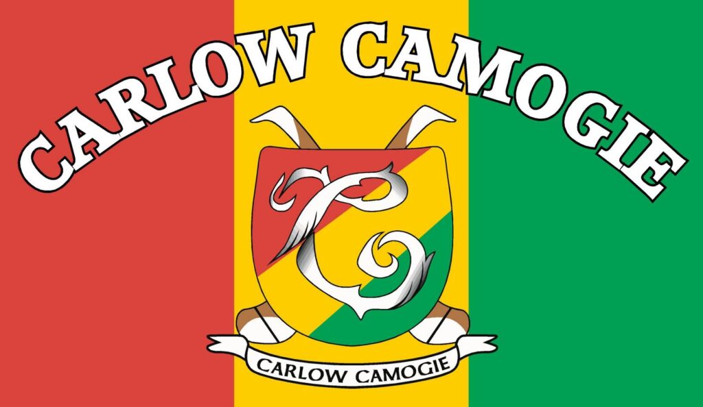 Carlow Camogie Manager Murphy steps away – leftwingback.com